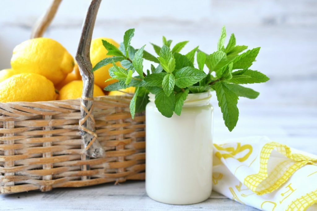 ΝΕΦΡΑ - Health4u.gr